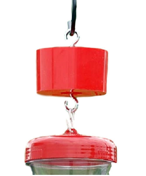 Trap-It-Ant Trap | YourGardenStop